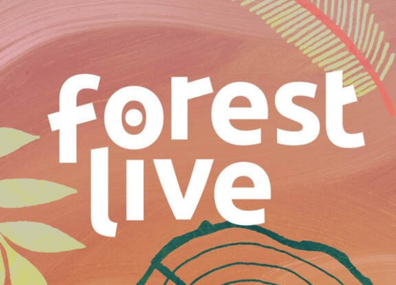 5 Minutes with Forest Live